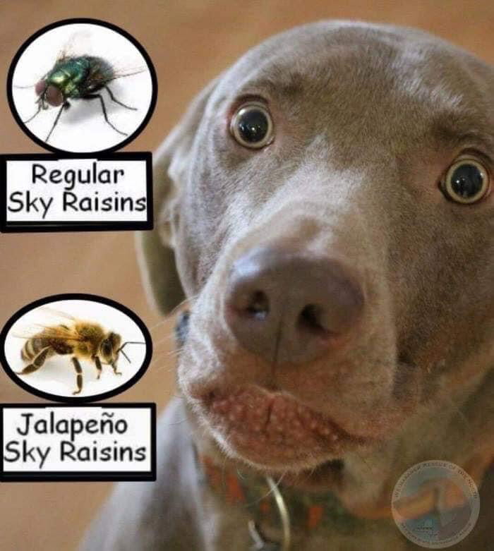 Sky Raisins are great! - 9GAG