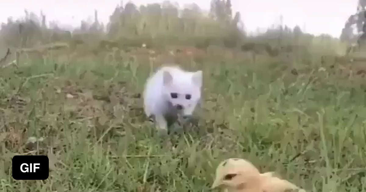 Mighty hunter - 9GAG