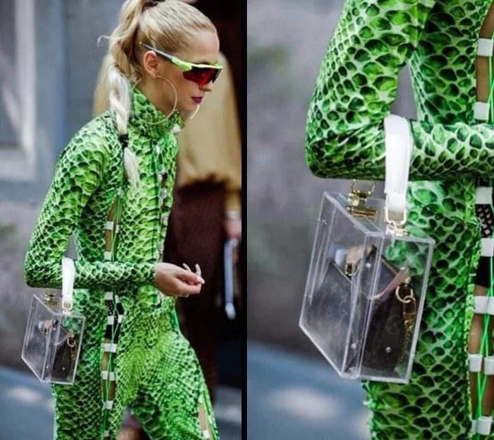 Lizard skin fashion is finally back - 9GAG