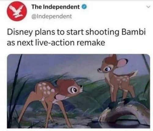 Shooting Bambi - 9GAG