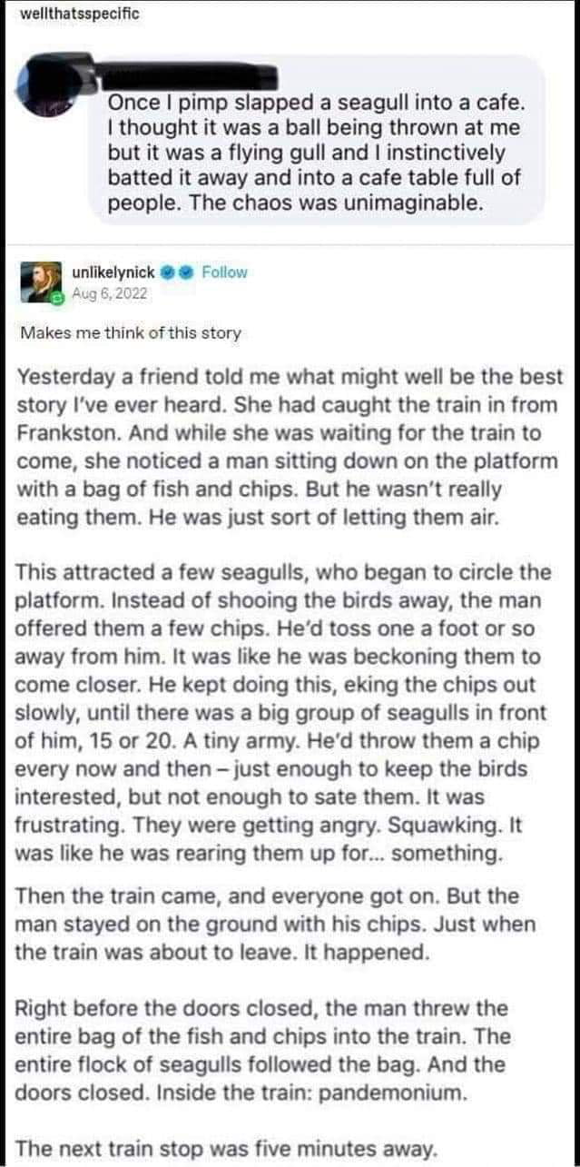 Hopefully amusing to some. Maybe even original content here. - 9GAG