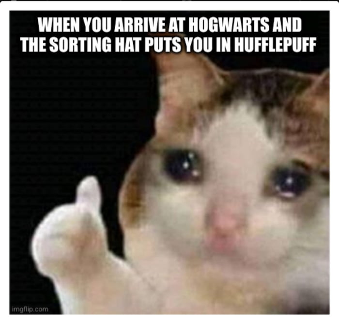 Scumbag Sorting Hat - 9GAG