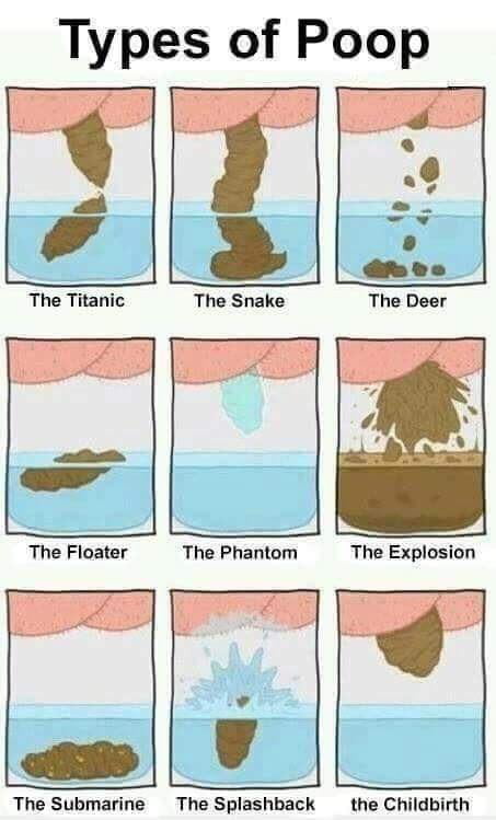 Just a Poop chart - 9GAG