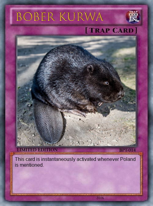 Beware, because it gryze. - 9GAG