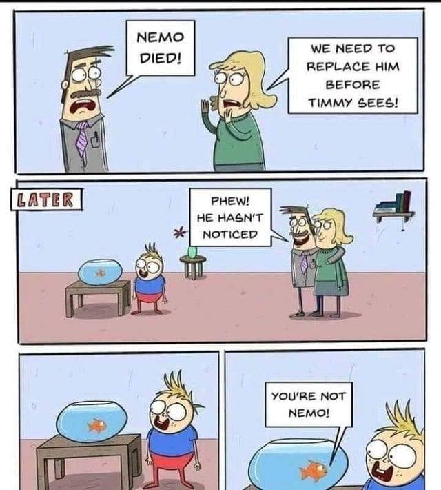 Nemo - 9GAG