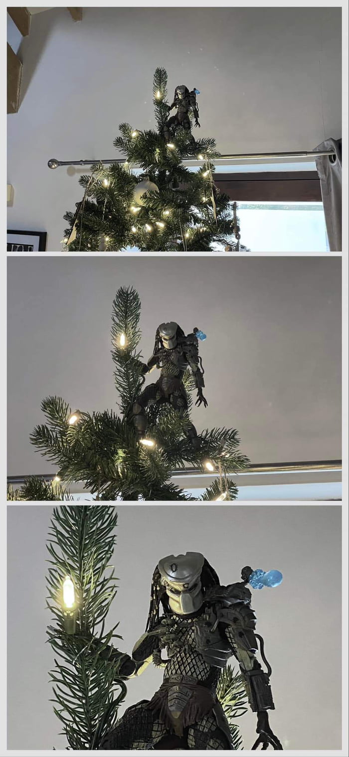 There's something in that tree - 9GAG