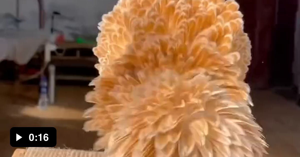 Crispy Chicken - 9GAG