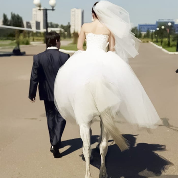 Centaur wedding - 9GAG
