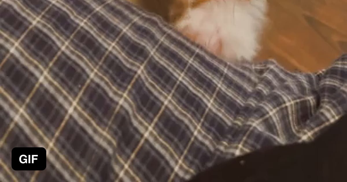 Watch her go ! - 9GAG