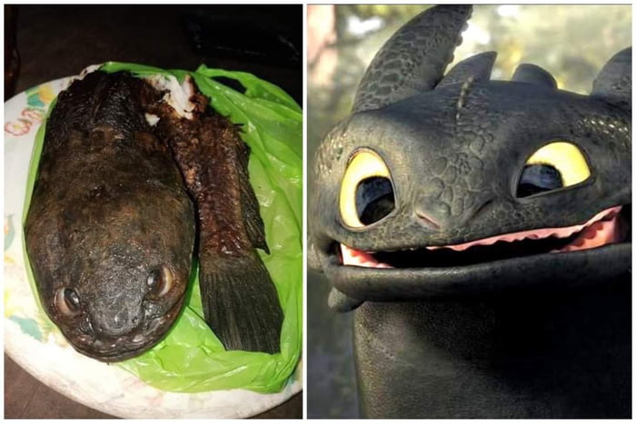 How to fry your dragon - 9GAG