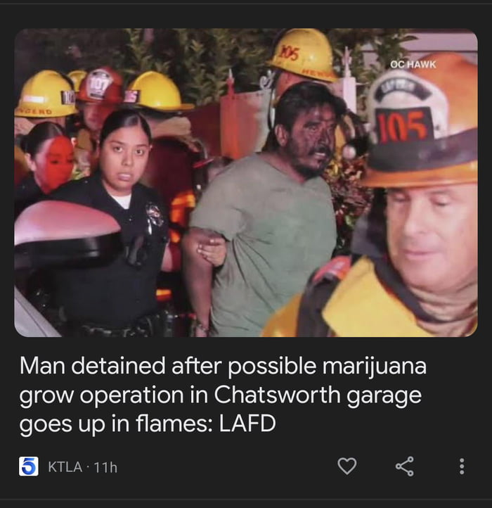 Just a quick reminder to never buy your trap house materials from ACME ...