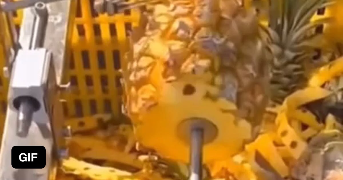 This method of peeling a pineapple - 9GAG