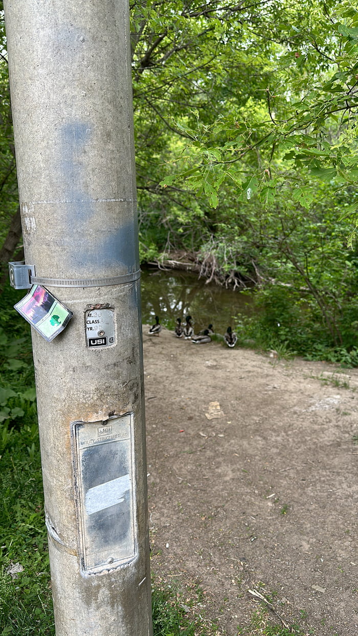 A strange relic gives power to these woods. - 9GAG