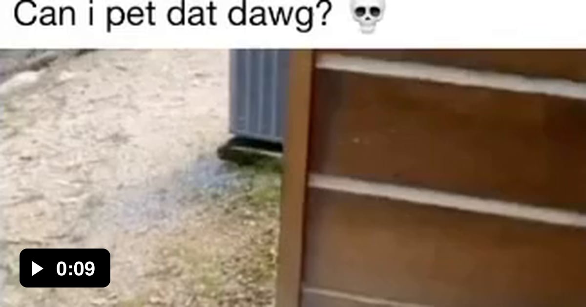 Can I pet that dawg - 9GAG