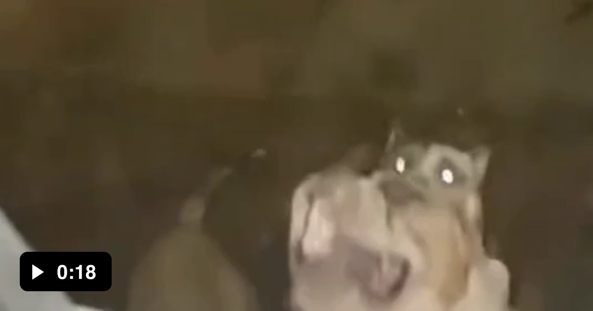 When this happens just accept your fate - 9GAG