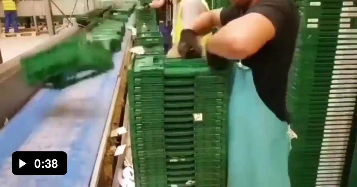 The apprentice never had a chance to overcome the master of box ...