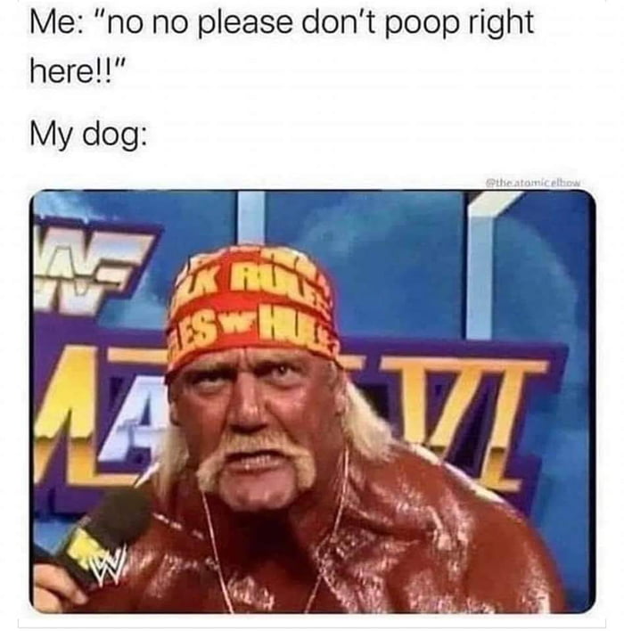 Every time this happens - 9GAG