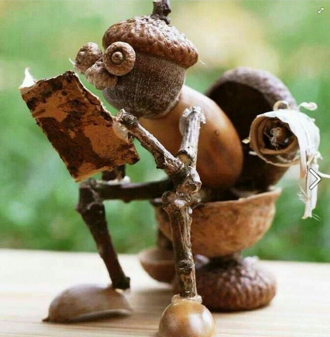When you have nothing to do with the empty acorn. and you come up with ...