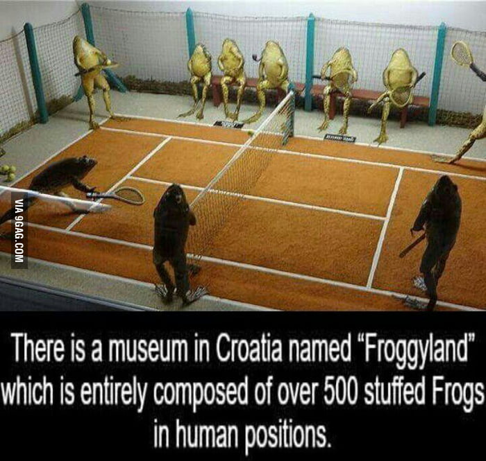 Confused Pepe is confused - 9GAG