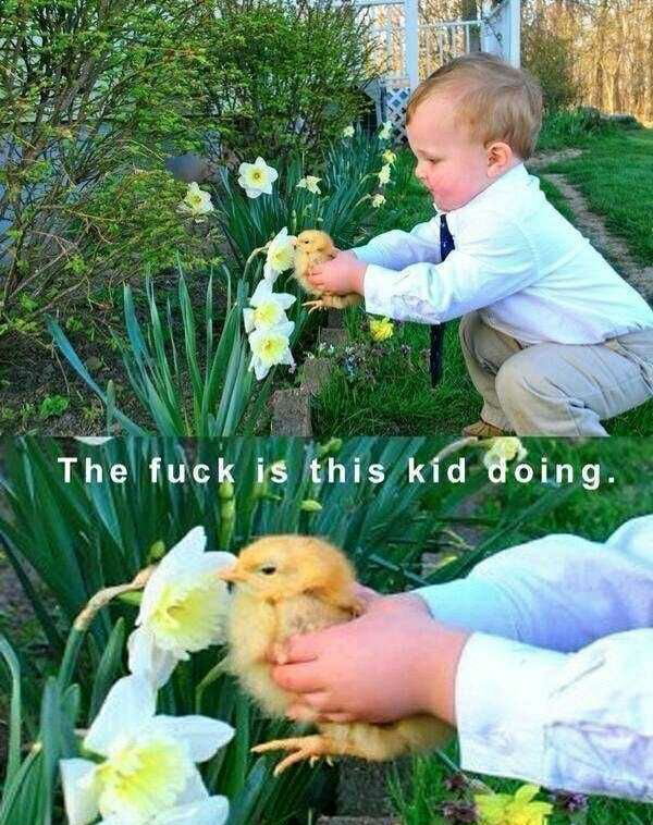 Not a bee.... - 9GAG