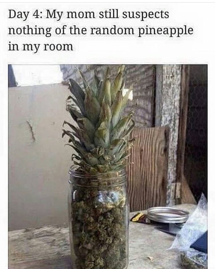 I actually saw a pineapple - 9GAG