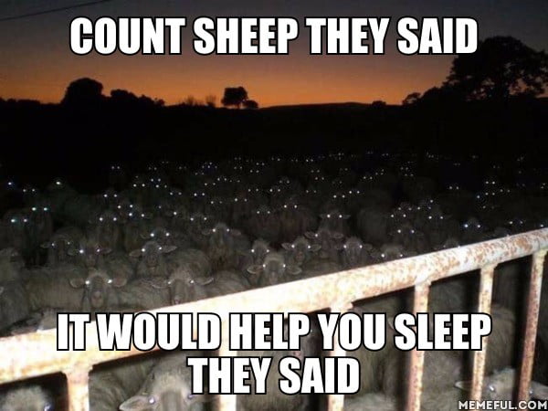 Count sheep they said. it would help you sleep they said - 9GAG
