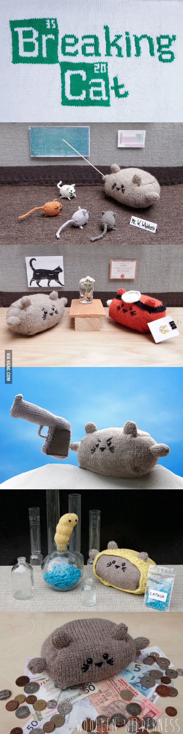 Breaking Cat... - 9GAG