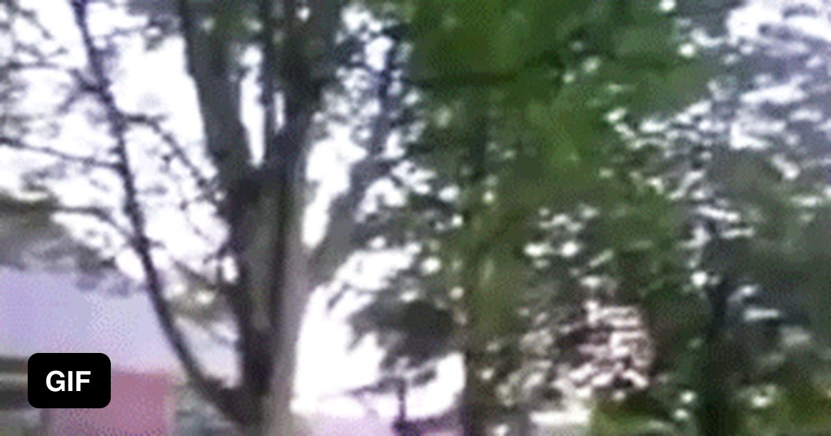 Watch me jump over this bench! - 9GAG