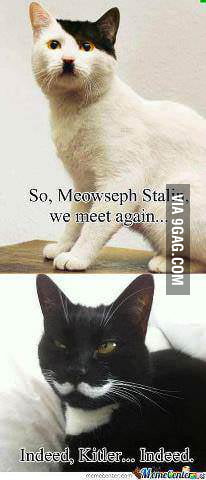 Meowseph and kitler.. - 9GAG