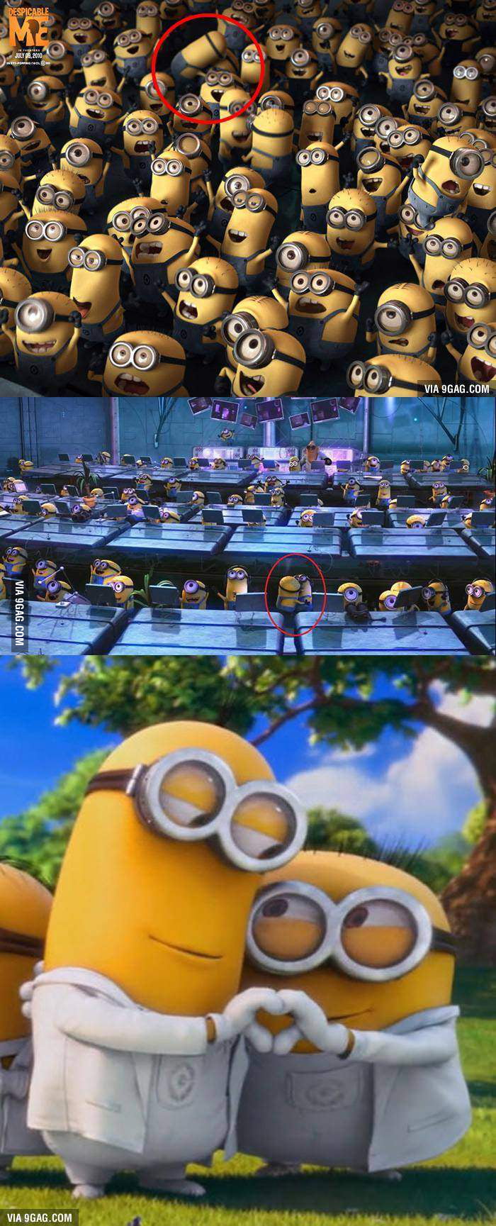 Minion gay! - 9GAG