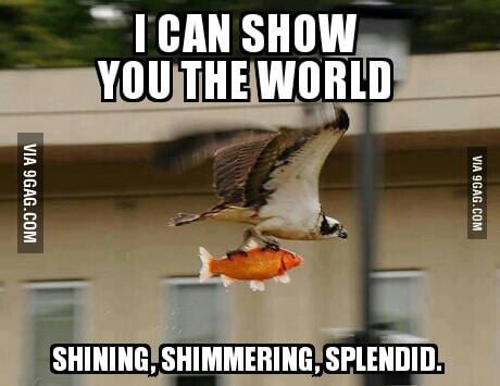 You can be my wingman any time. - 9GAG