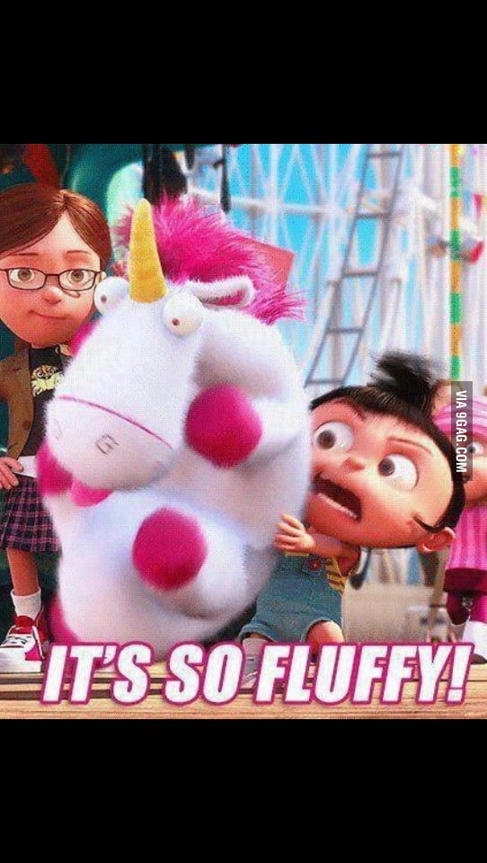 İts so fluffy!!! - 9GAG