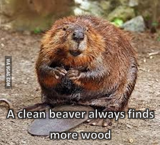 No one likes a dirty beaver - 9GAG