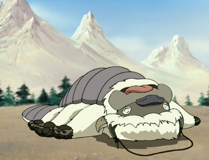 I'm rewatching Avatar and I remembered how cute this guy is! - 9GAG