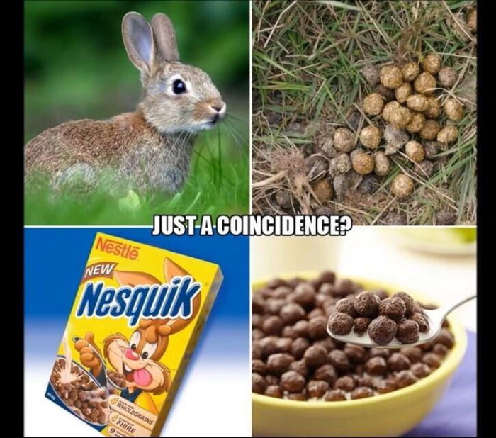 Well that's ruined - 9GAG