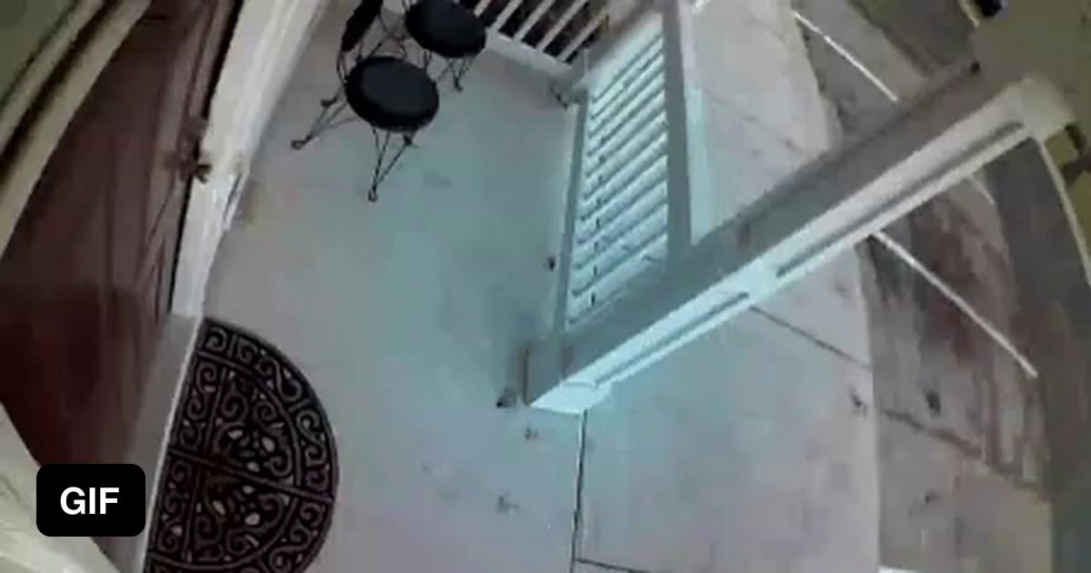 PORCH MONKEY 4 LIFE - 9GAG