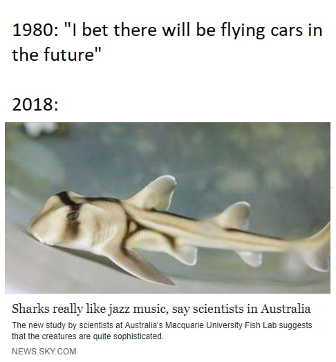 Ya like jazz? - 9GAG