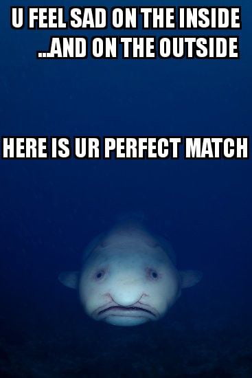 Blob fish sadness - 9GAG