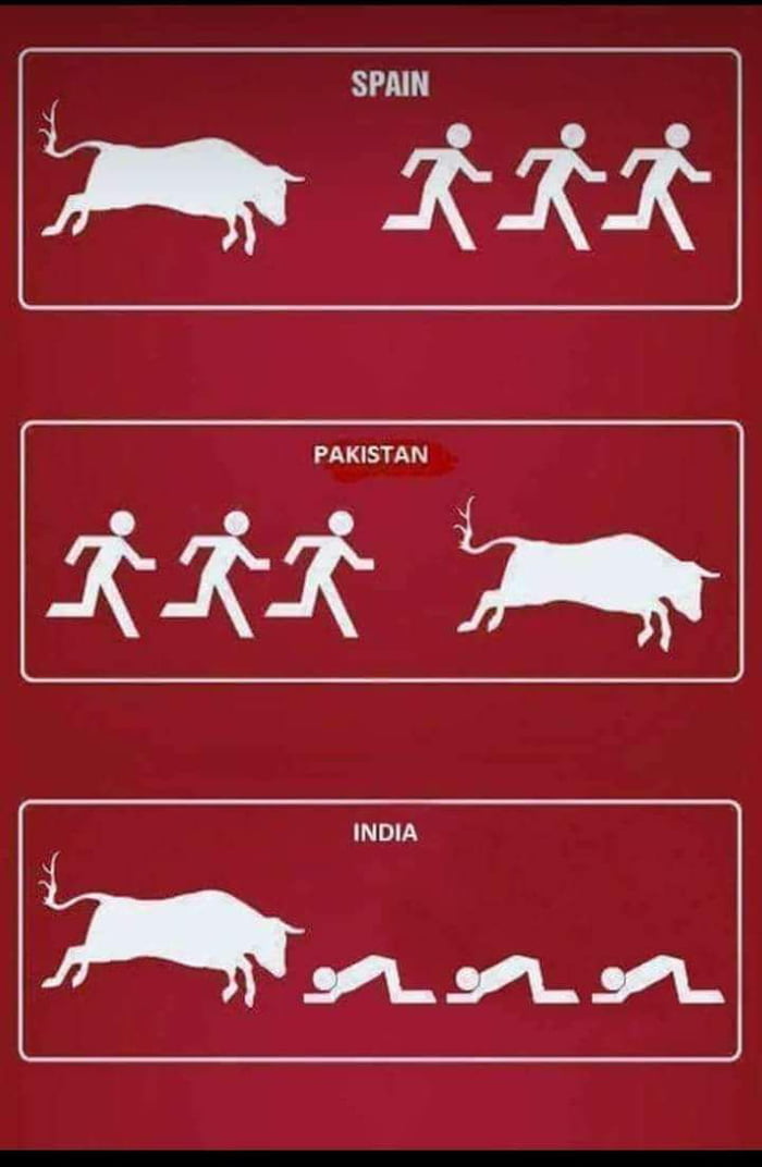 Looks like a bull - 9GAG