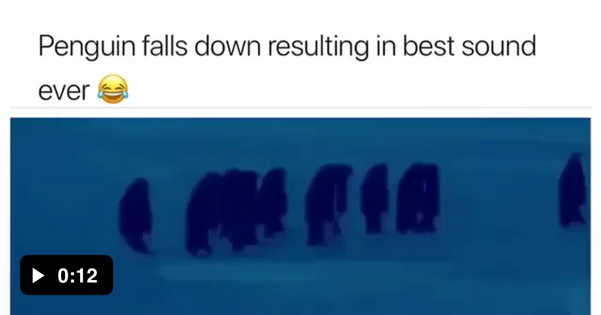 Penguins - 9GAG