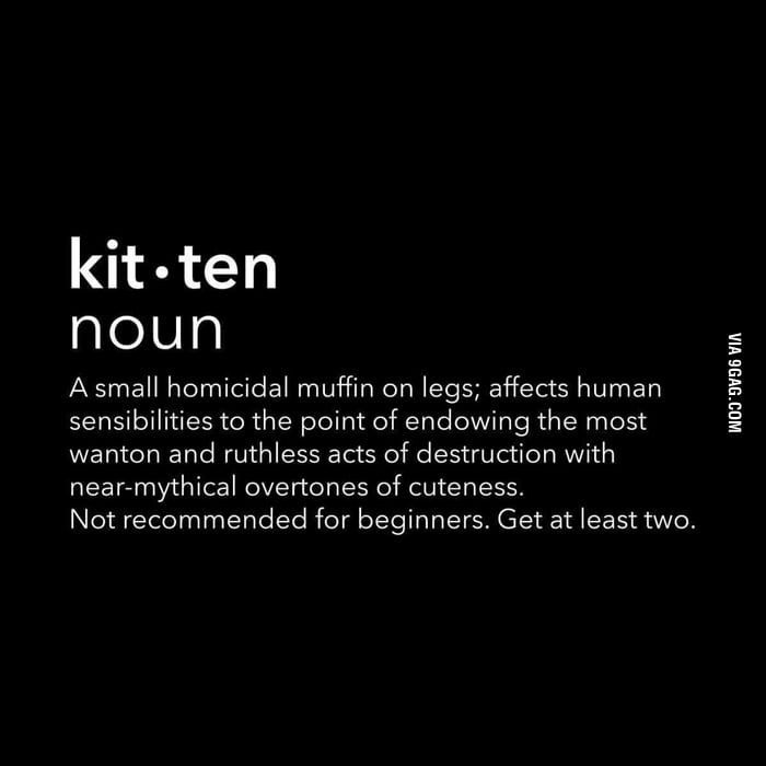 Cute little furry killing machines - 9GAG