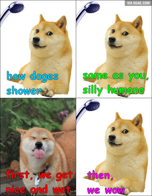 How do doges shower? - 9GAG