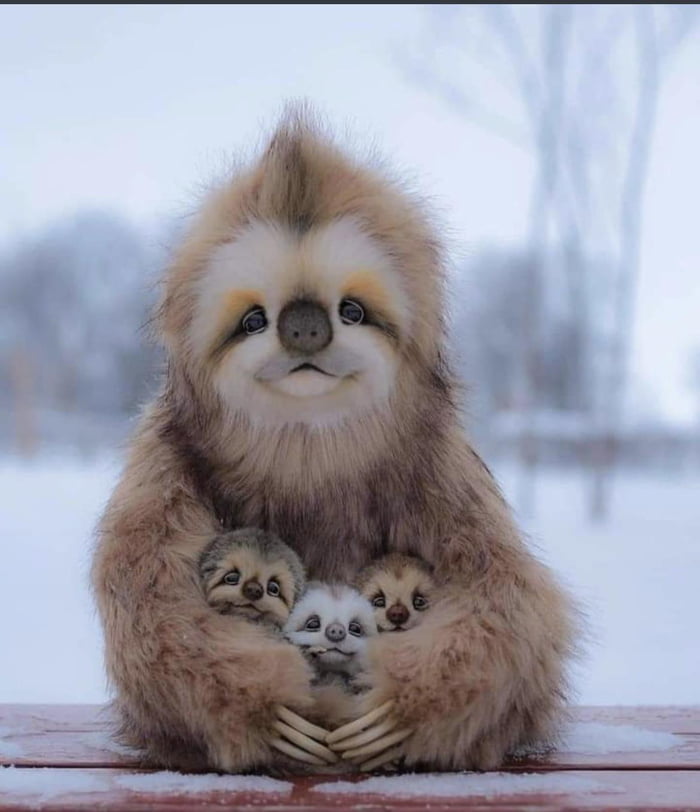 Cute ass sloths - 9GAG