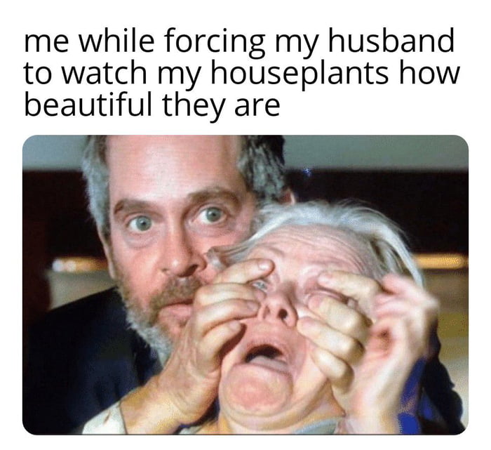 Grow, my Monster, grow... - 9GAG