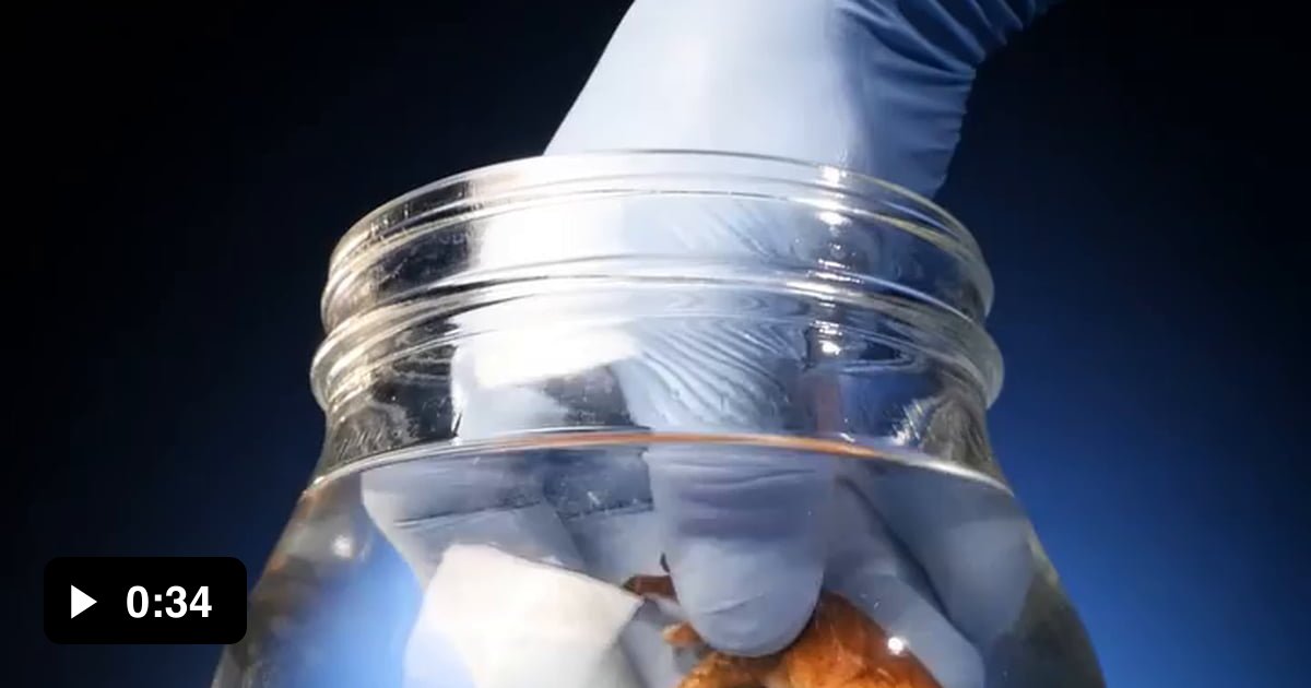 What in the holy Pepe.. - 9GAG