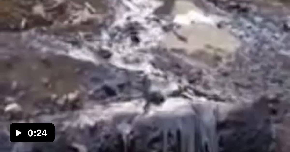 Pipeline leaking oil into the Amazon - 9GAG