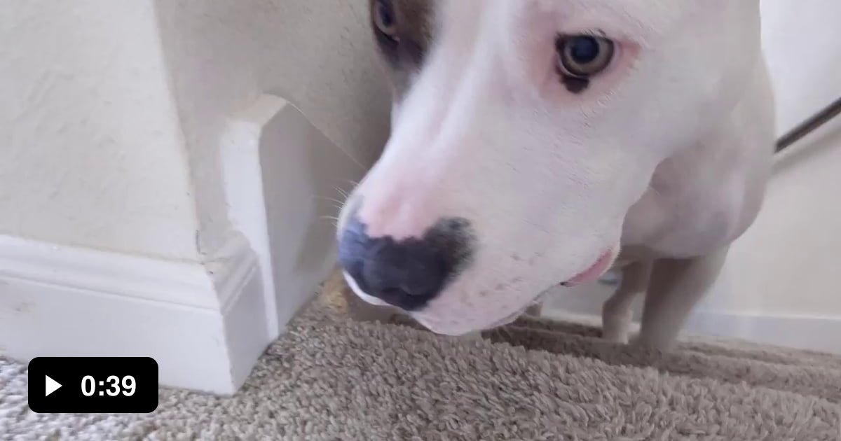 Um awkward encounter... - 9GAG