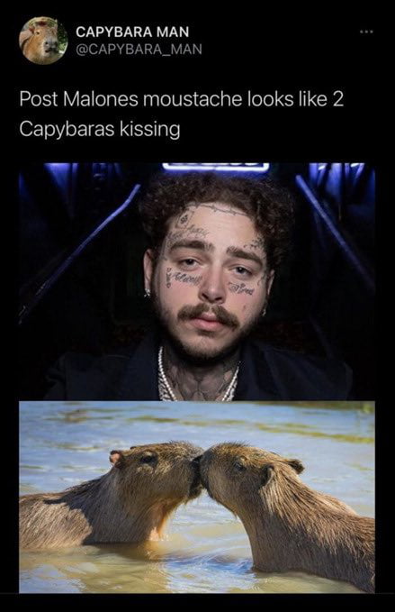 Post Malone's moustache. - 9GAG