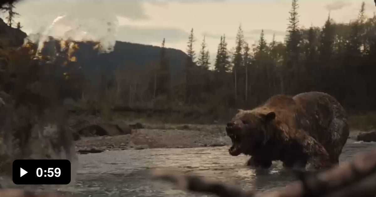 Predator vs Bear (Movie:Prey) - 9GAG