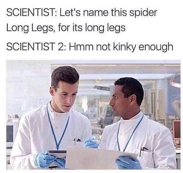 Papi Long legs - 9GAG